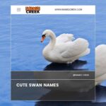 450 Unique Swan Names: Best Names For Your Elegant Companion +Generator