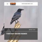 260 Creative Raven Names With Ai Generator