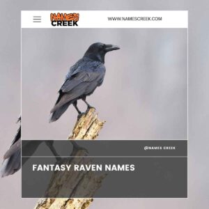260 Creative Raven Names With Ai Generator