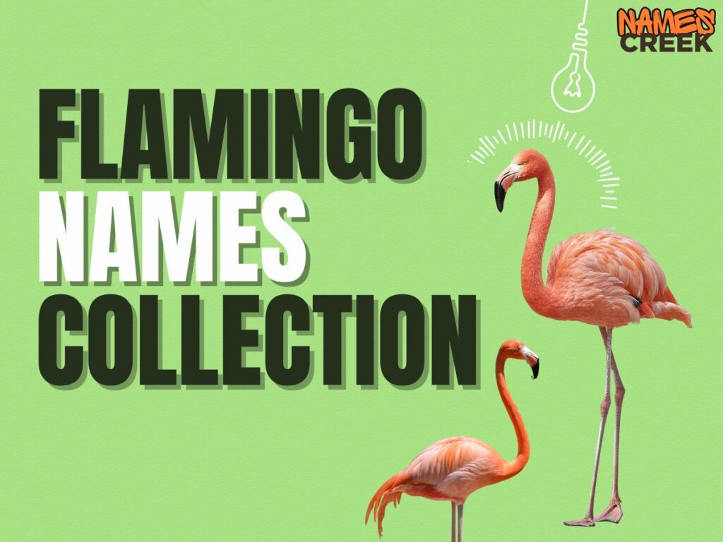 477 Flamingo Names: A Colorful Collection