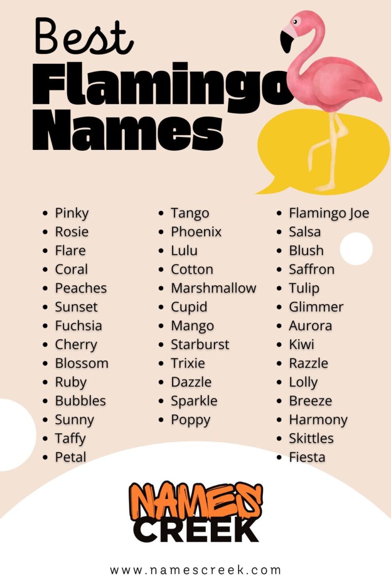 477 Flamingo Names: A Colorful Collection