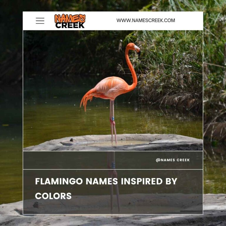 477 Flamingo Names: A Colorful Collection