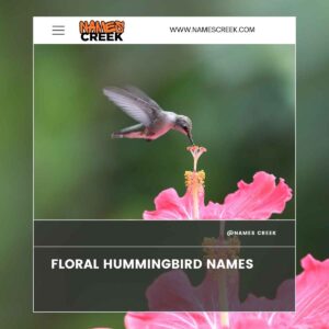 Hummingbird Names: 400 Charming And Creative Ideas