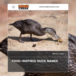 250 Delightful Duck Names: From Classic To Quirky With Generator