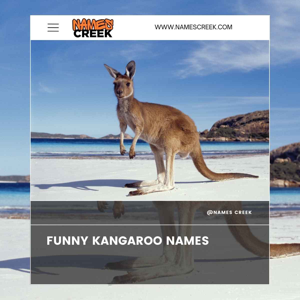 The Ultimate Guide To Mammal Names | Namescreek.com