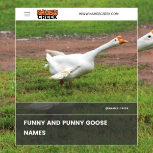 320 Goose Names For Your Pet Friend