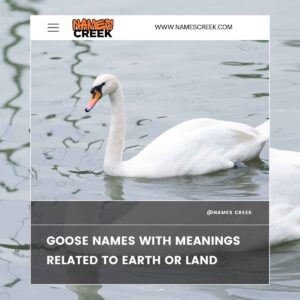 320 Goose Names For Your Pet Friend