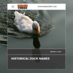 250 Delightful Duck Names: From Classic To Quirky With Generator
