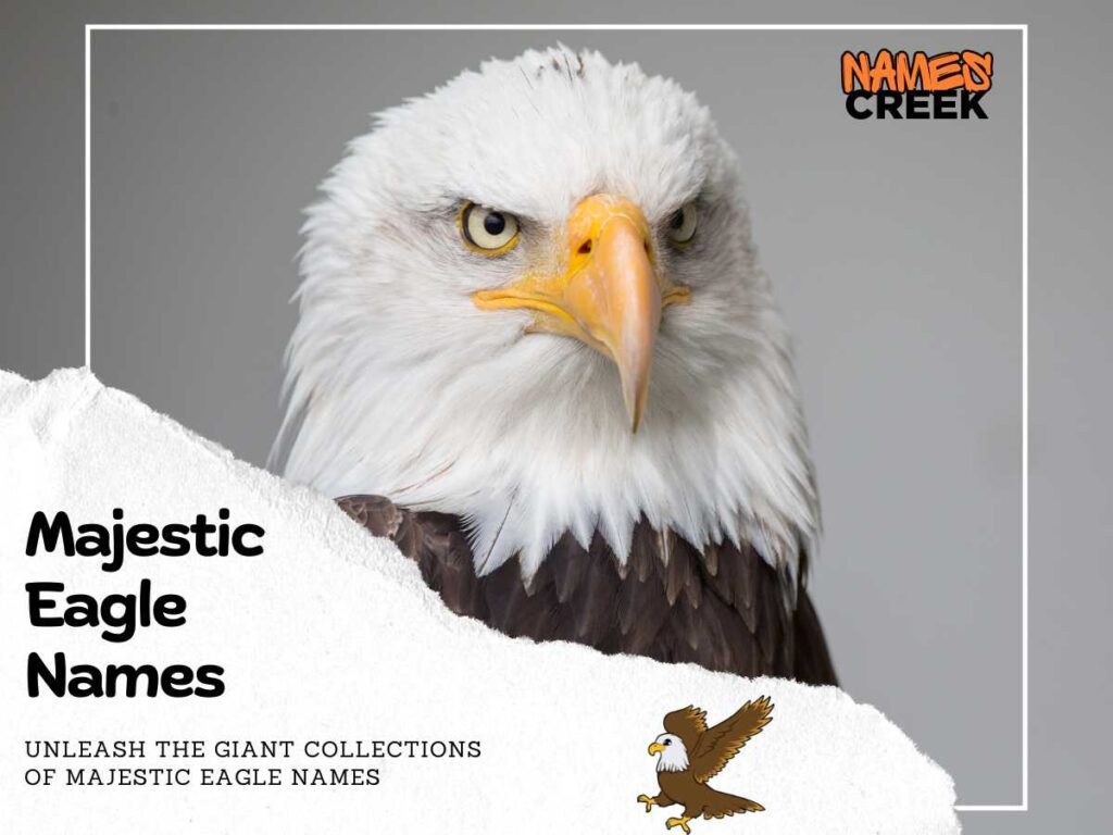 350 Majestic Eagle Names To Inspire With Ai Generator