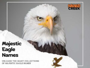 350 Majestic Eagle Names To Inspire With Ai Generator