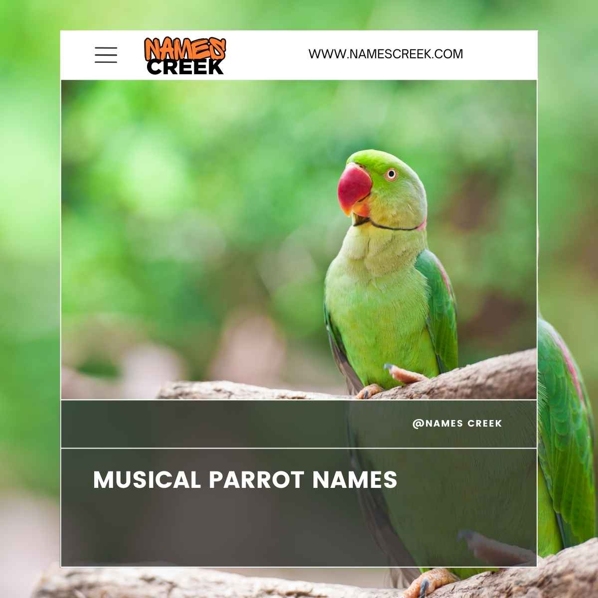 300 Delightful Parrot Names