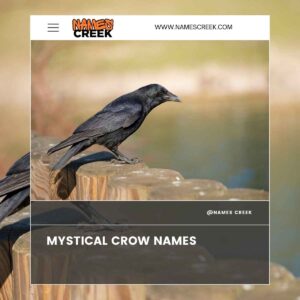 157 Brilliant Crow Names To Inspire You
