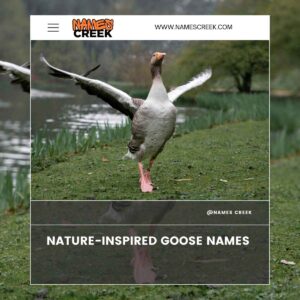 320 Goose Names For Your Pet Friend