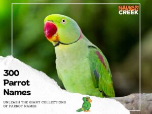 300 Delightful Parrot Names