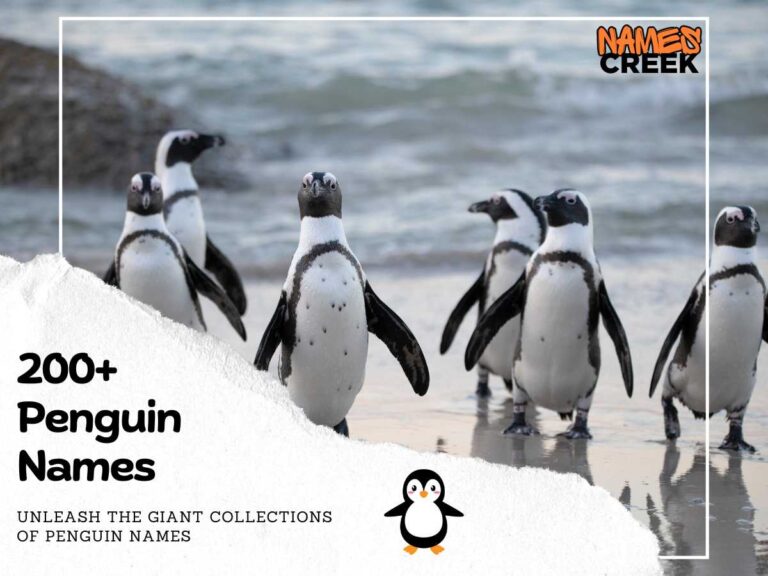 Waddle Into A World Of Penguin Names: 200+ Ideas