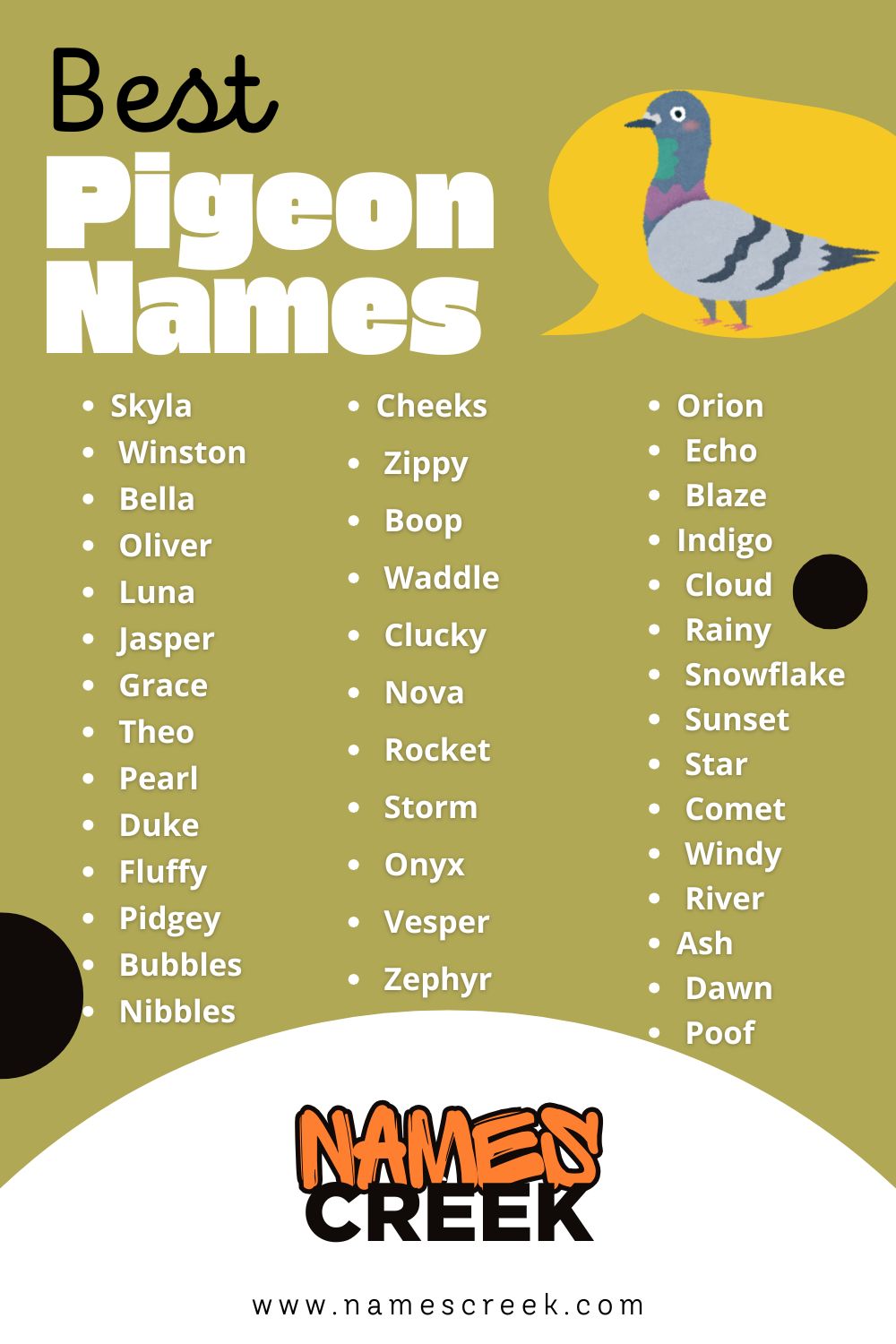 600+ Pigeon Names With An AI Generator