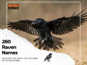 260 Creative Raven Names With Ai Generator