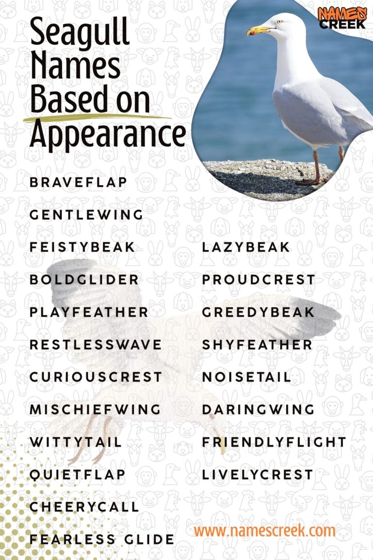 Discovering 360 Seagull Names: A Comprehensive Guide + Ai Generator
