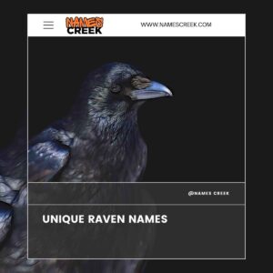 260 Creative Raven Names With Ai Generator
