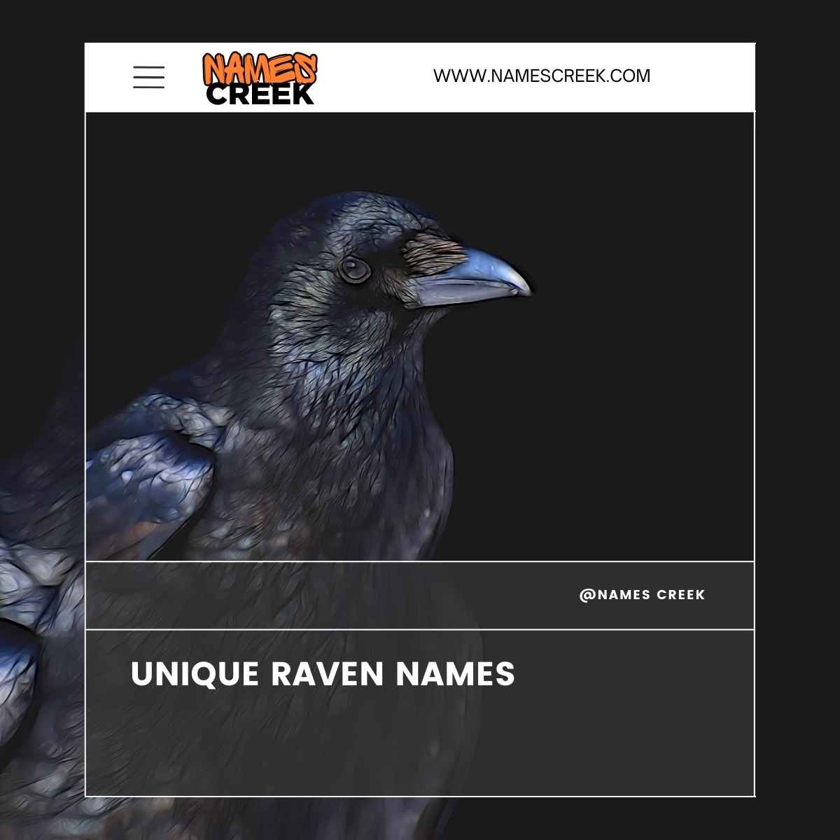 260 Creative Raven Names With Ai Generator