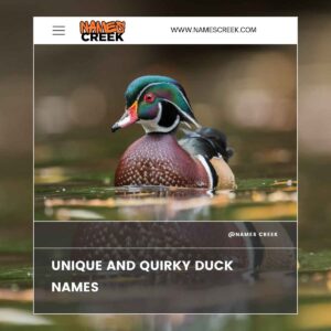 250 Delightful Duck Names: From Classic To Quirky With Generator