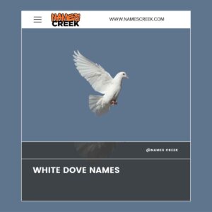 Exploring The World Of 350+ Dove Names