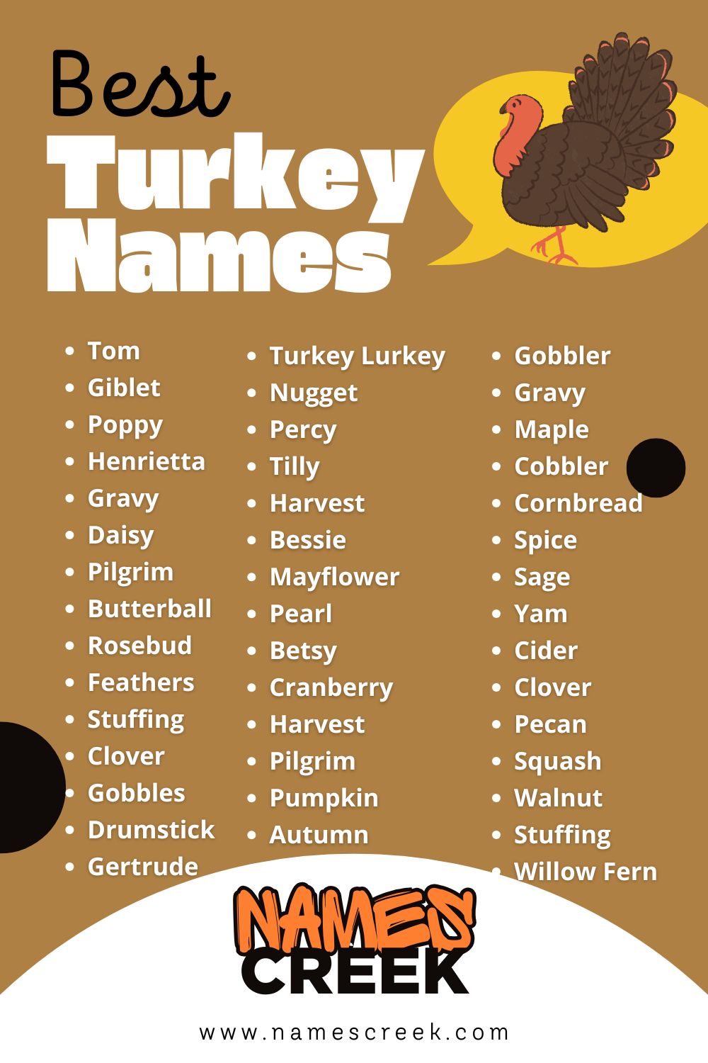 225 Unique And Creative Turkey Names