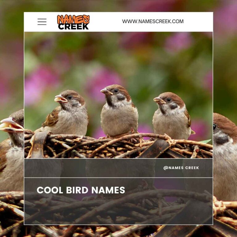 350 Unique Bird Names: A Comprehensive Guide To Naming Your Feathered ...