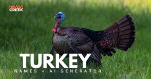 225 Unique And Creative Turkey Names