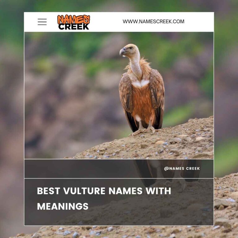 340 Vulture Names: The Ultimate Guide To Naming Vultures + Generator