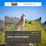 400+ Coyote Names With Meanings + Ai Generator