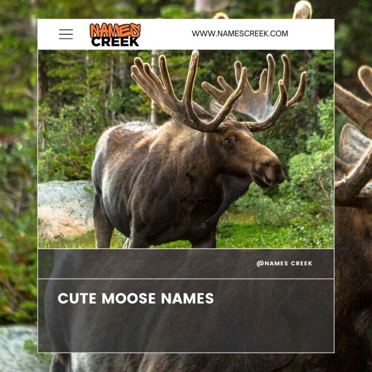 360 Moose Names: Creative, Funny, And Unique Ideas For Every Type Of Moose + Ai Generator