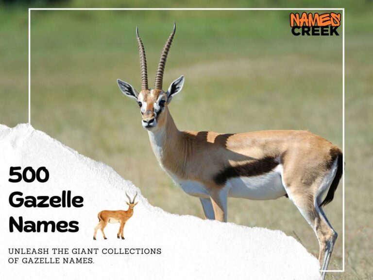 350 Majestic Eagle Names To Inspire