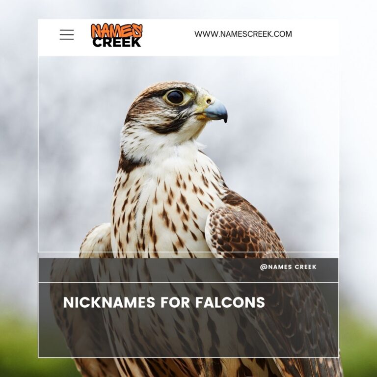 380 Falcon Names: A Proper List For Your Majestic Falcon + Ai Generator