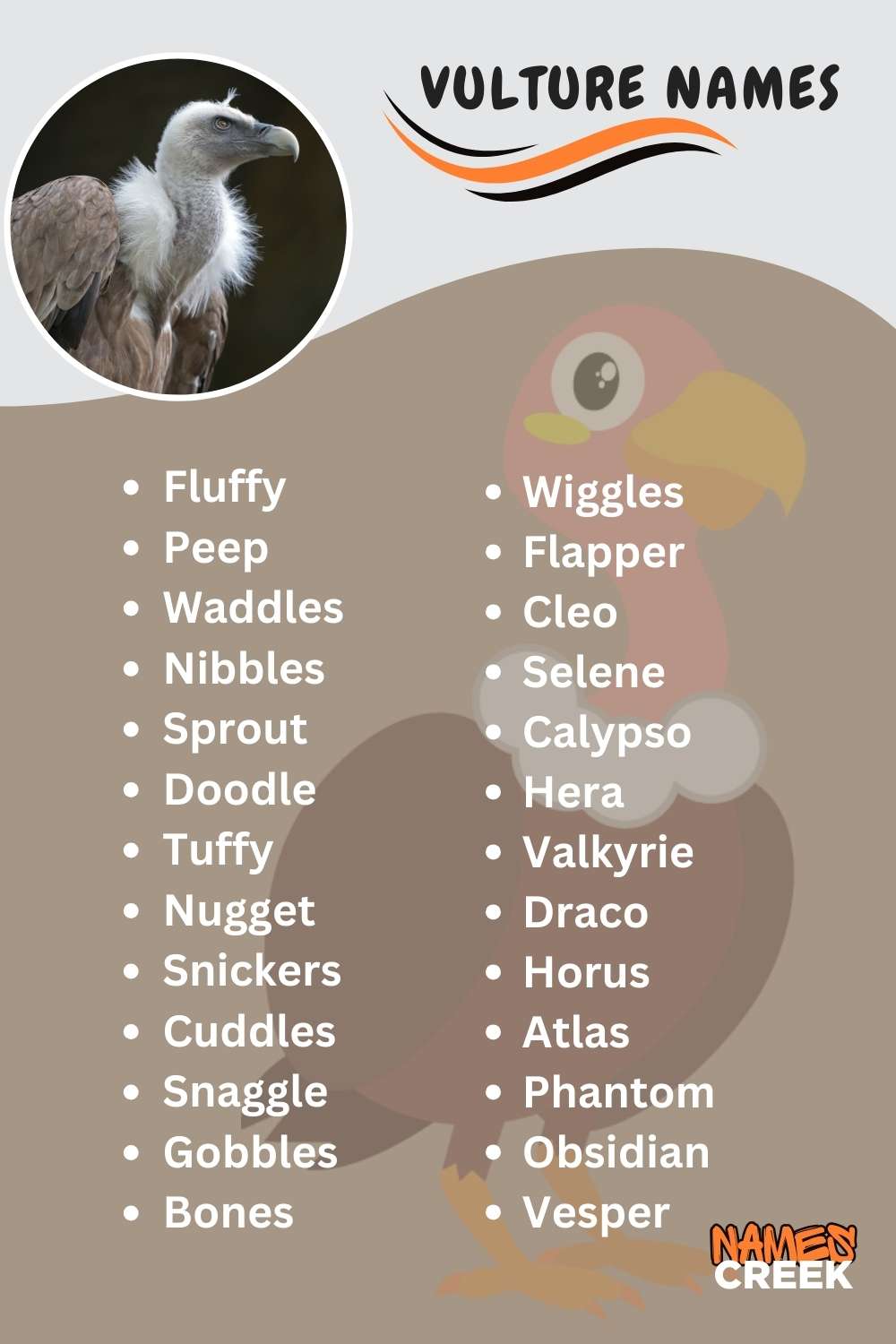 340 Vulture Names: The Ultimate Guide To Naming Vultures + Generator