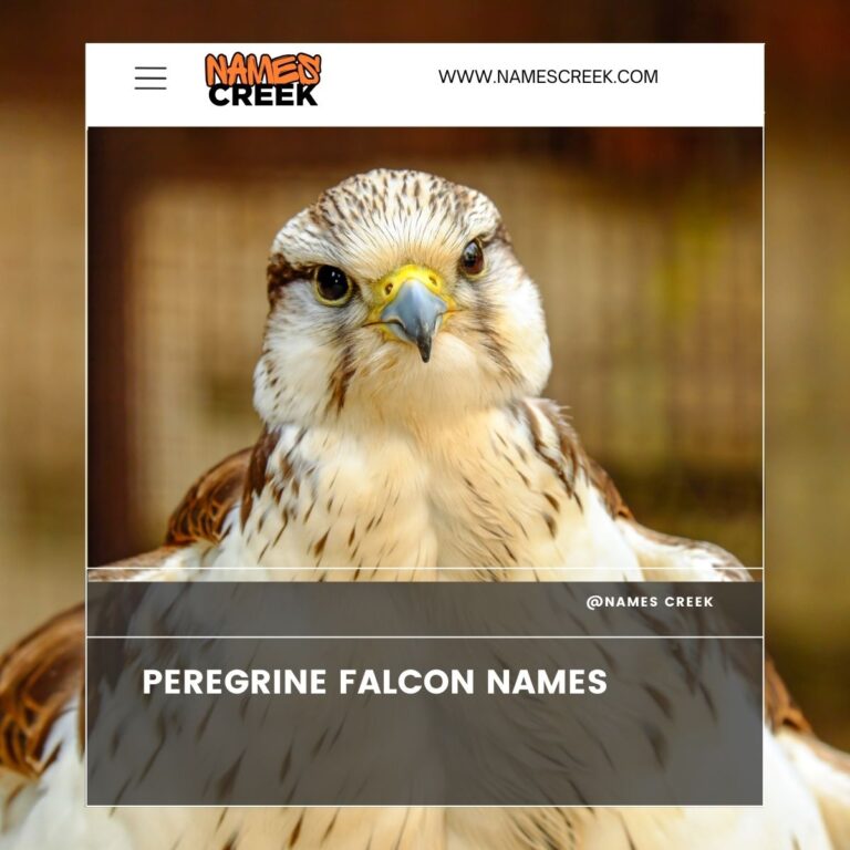 380 Falcon Names: A Proper List For Your Majestic Falcon + Ai Generator