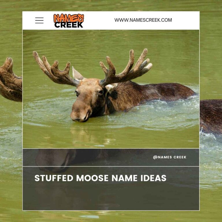 360 Moose Names: Creative, Funny, And Unique Ideas For Every Type Of ...