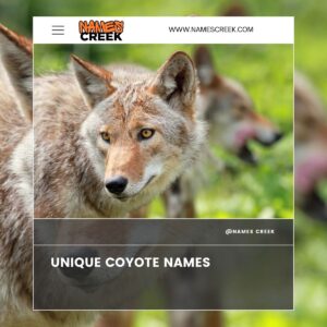 400+ Coyote Names With Meanings + Ai Generator
