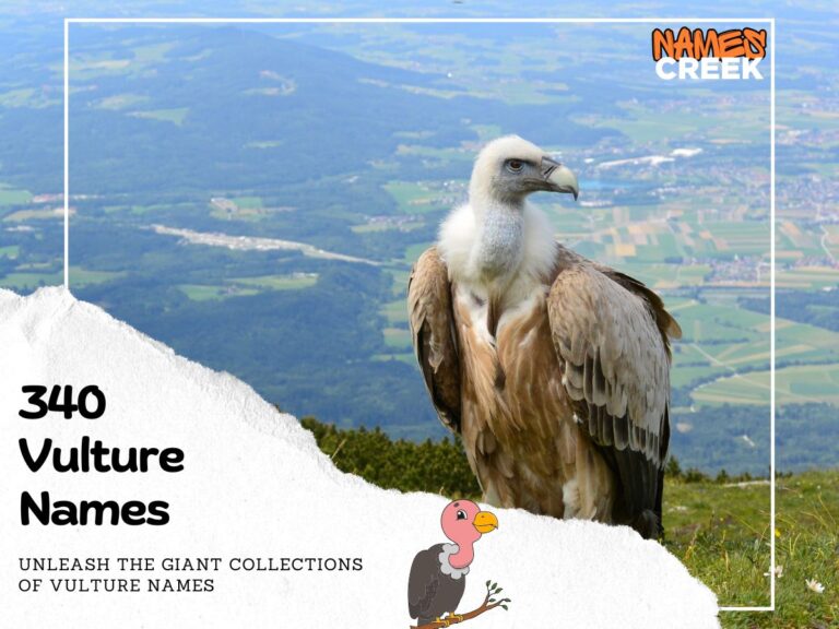 340 Vulture Names: The Ultimate Guide To Naming Vultures + Generator
