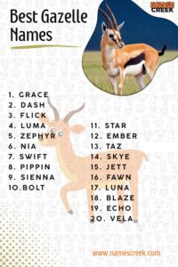 500 Gazelle Names: The Ultimate Guide For Your Elegant Companion With ...