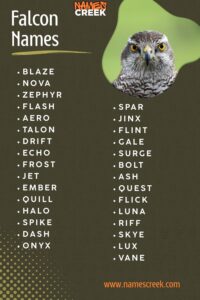 380 Falcon Names: A Proper List For Your Majestic Falcon + Ai Generator