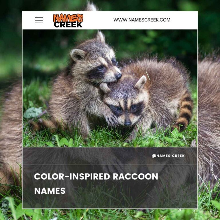 440 Raccoon Names: The Ultimate Guide +Ai Generator
