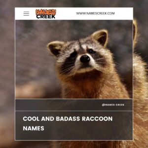 440 Raccoon Names: The Ultimate Guide +Ai Generator