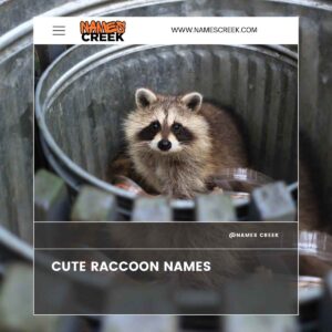 440 Raccoon Names: The Ultimate Guide +Ai Generator