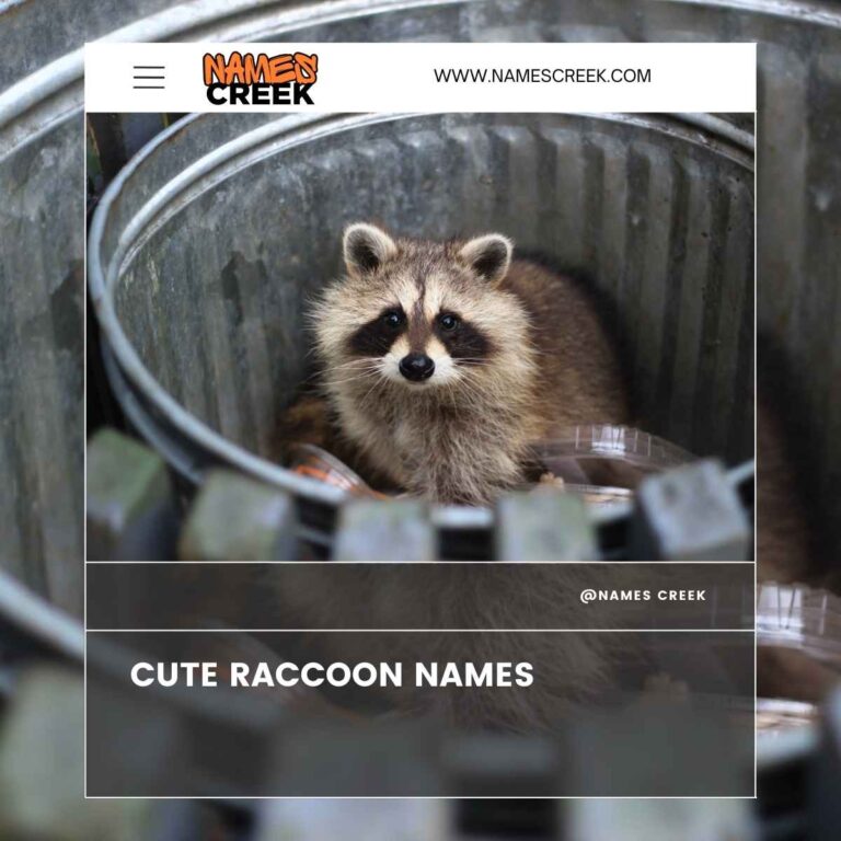 440 Raccoon Names: The Ultimate Guide +Ai Generator