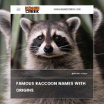440 Raccoon Names: The Ultimate Guide +Ai Generator