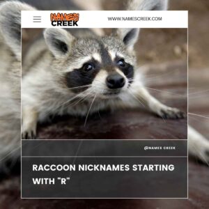 440 Raccoon Names: The Ultimate Guide +Ai Generator
