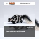 540 Skunk Names - Unique, Funny, Cool & Creative Ideas