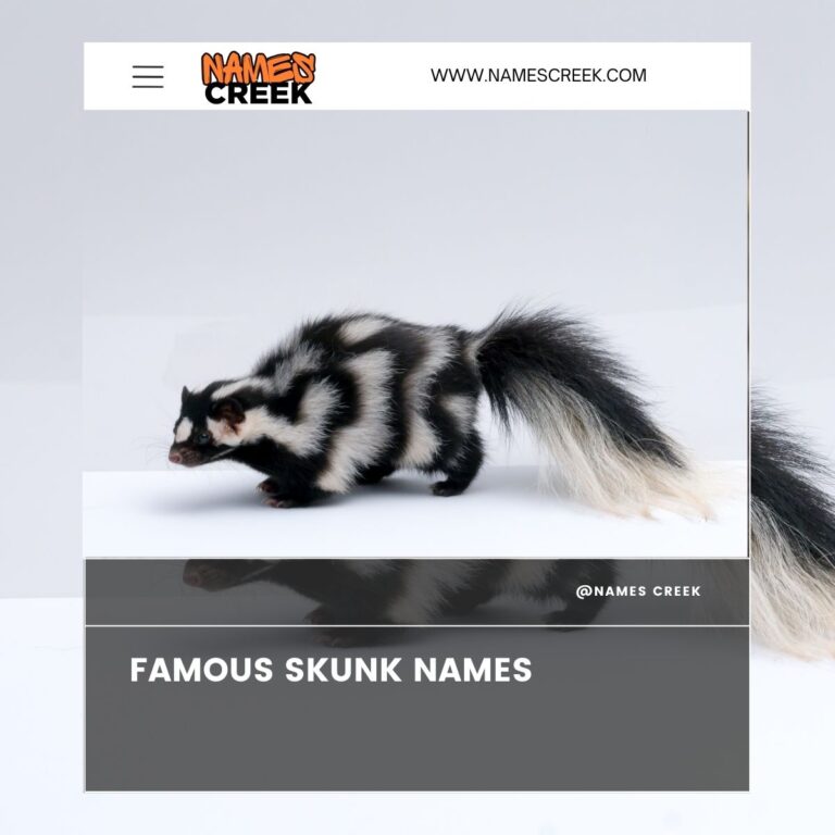 540 Skunk Names - Unique, Funny, Cool & Creative Ideas