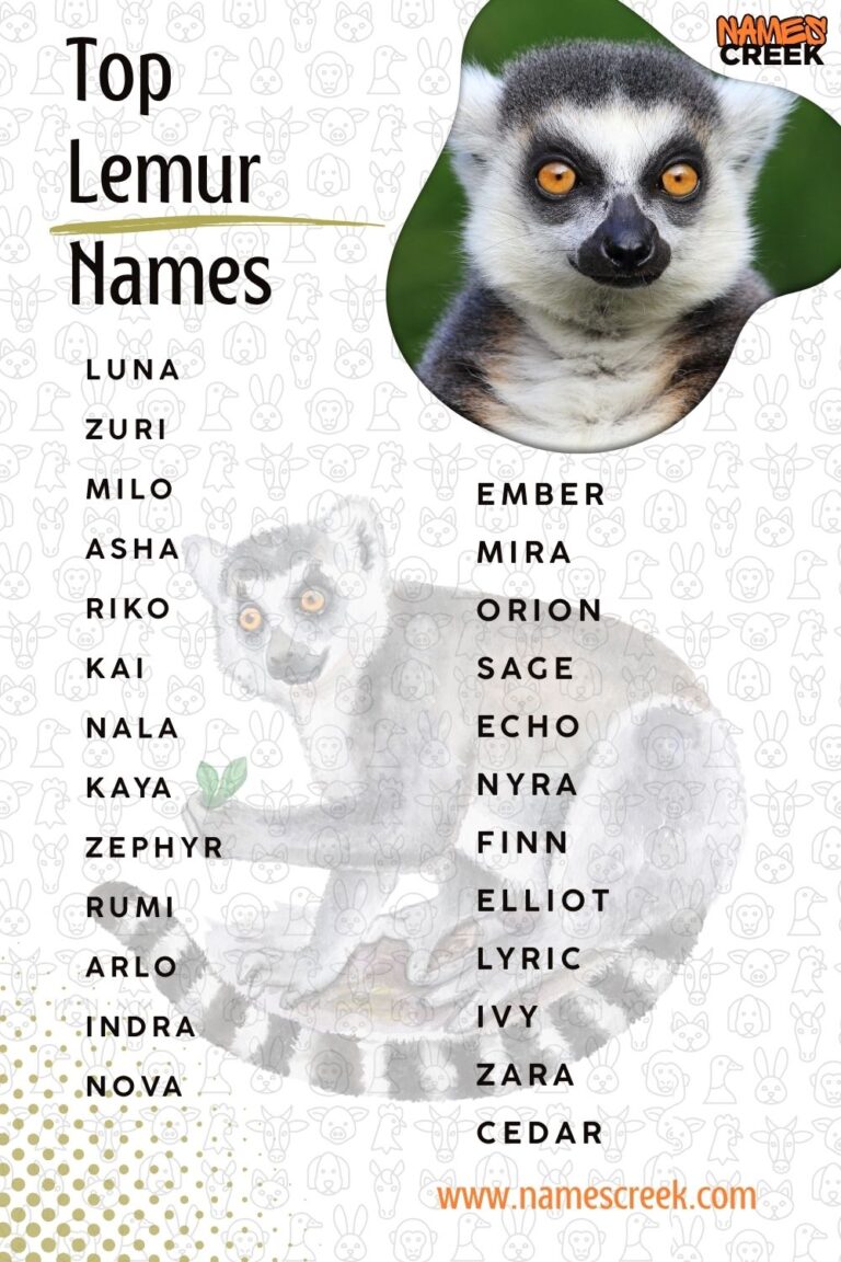 500 Lemur Names - Creative And Unique Ideas For Your Adorable Lemur